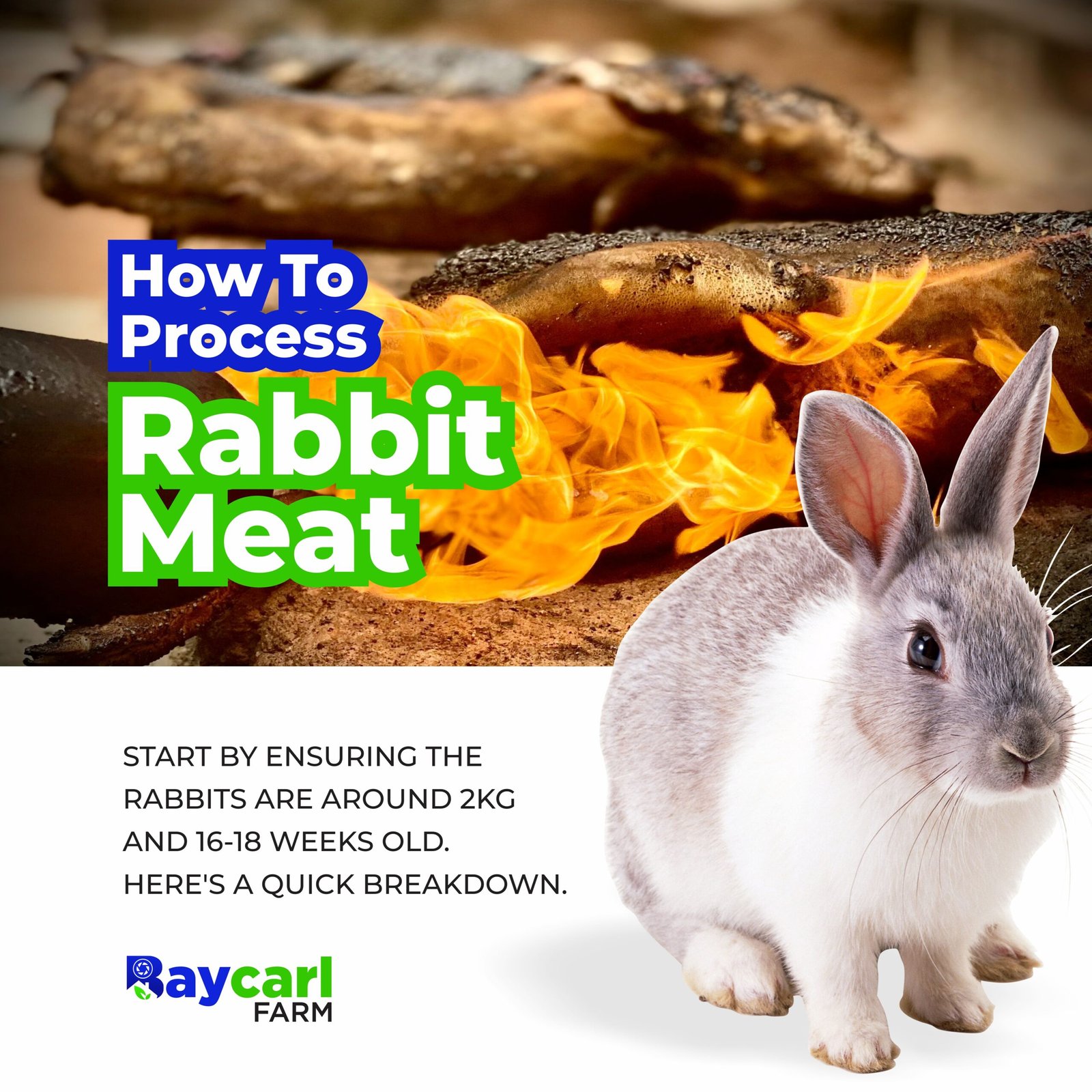 HOW TO PROCESS RABBIT MEAT | Baycarl Enterprise